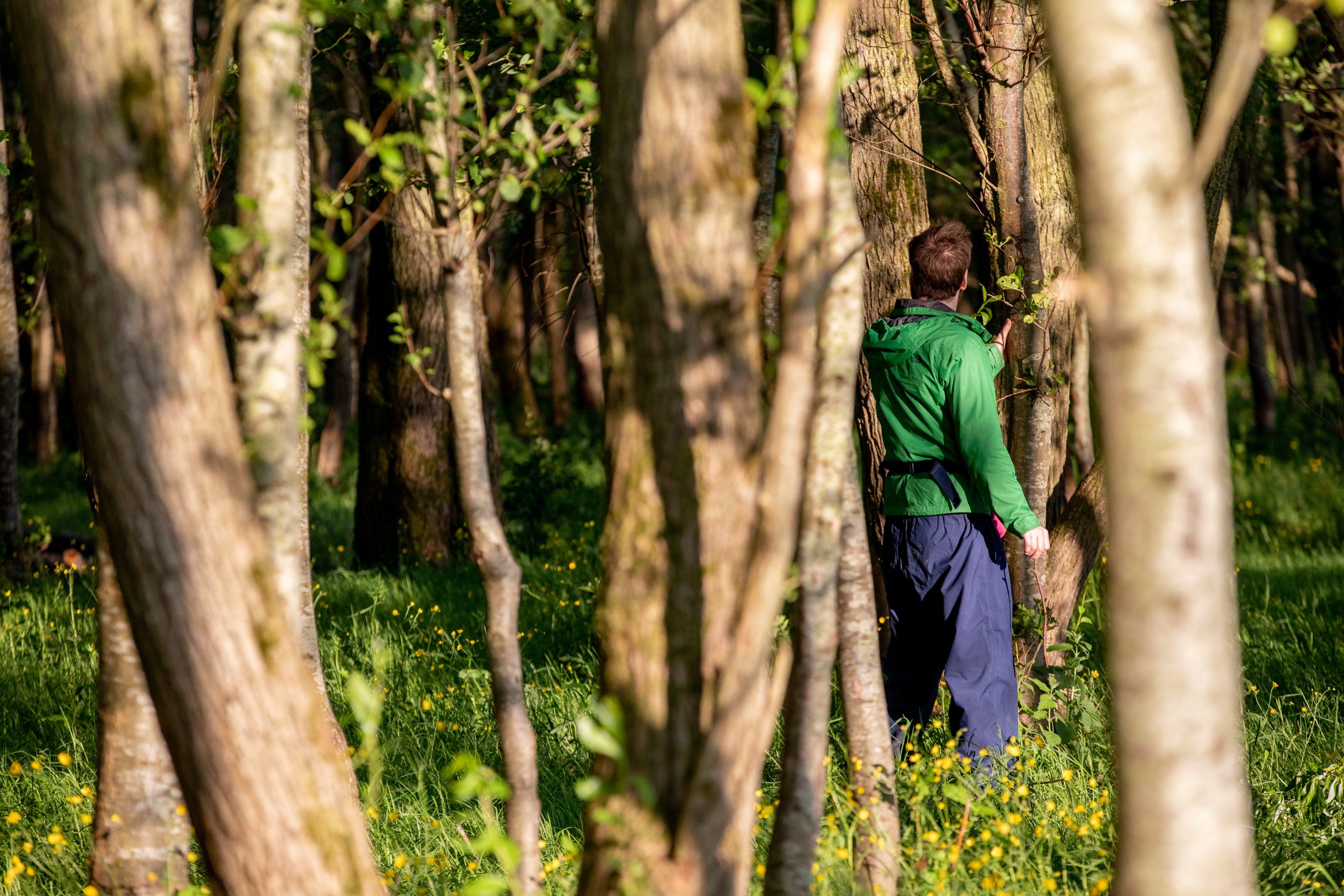 Weekendtip – Rizoom – – Arcadia