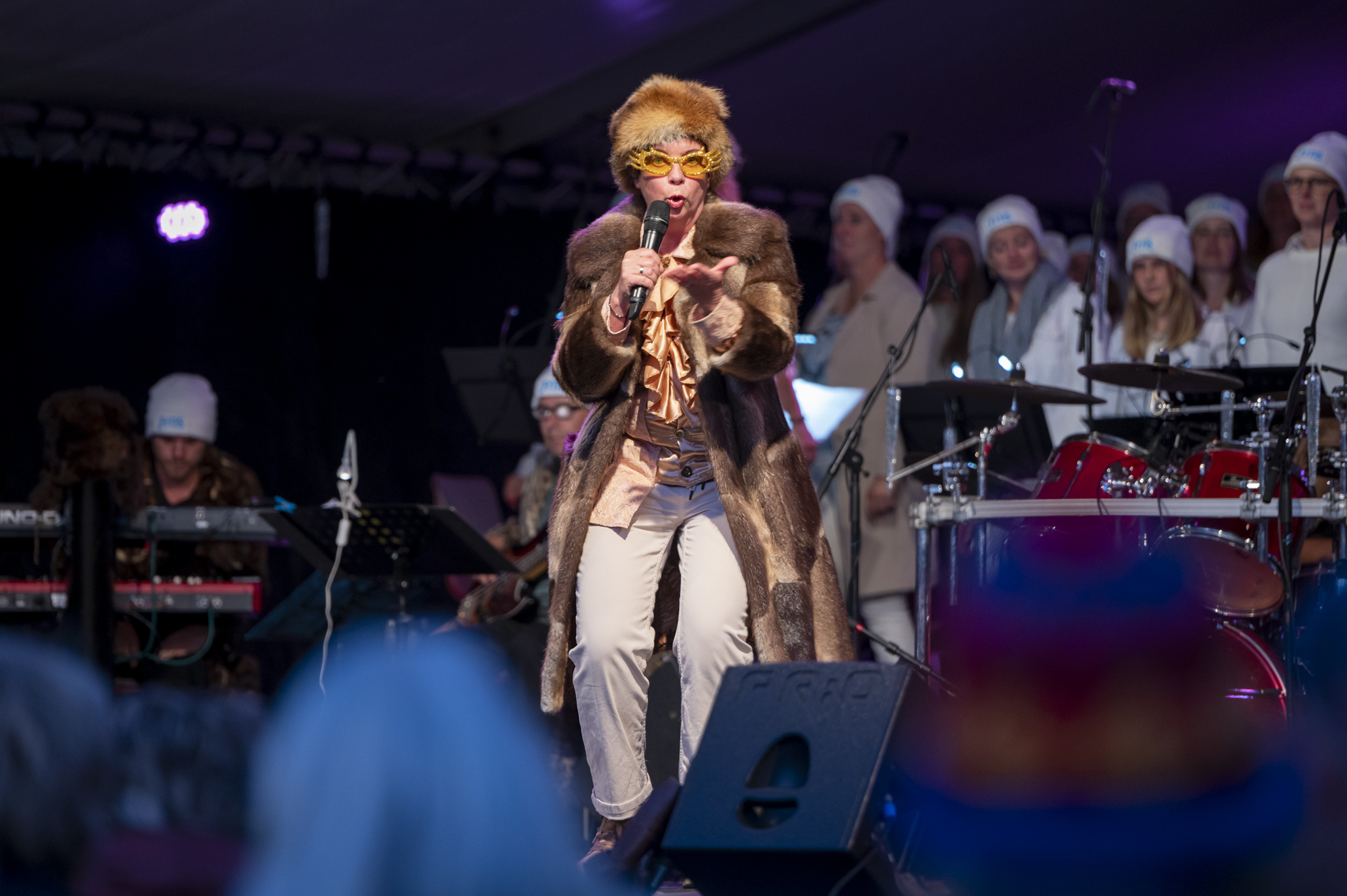 Sfeerimpressie FrIIS Festival – Arcadia